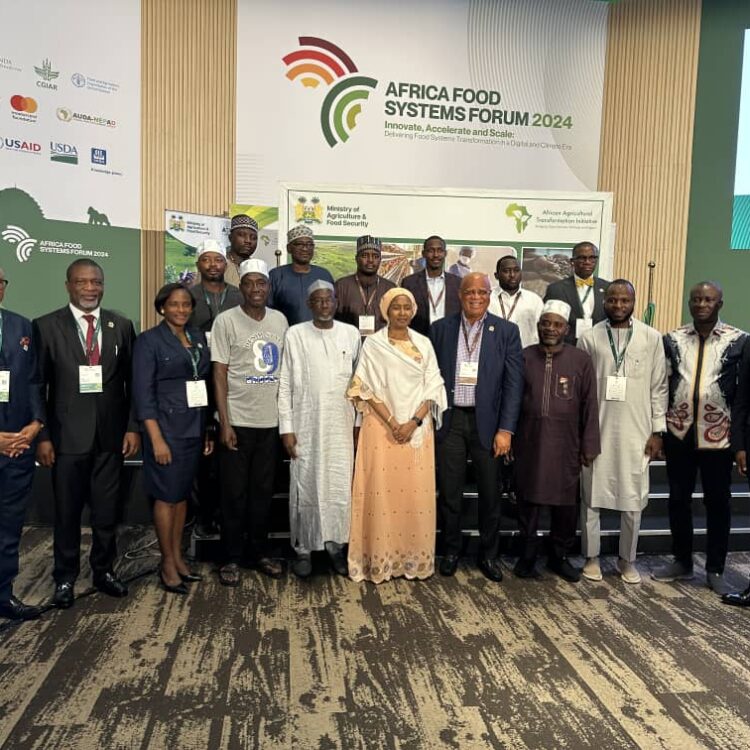 Niger State - Niger Foods